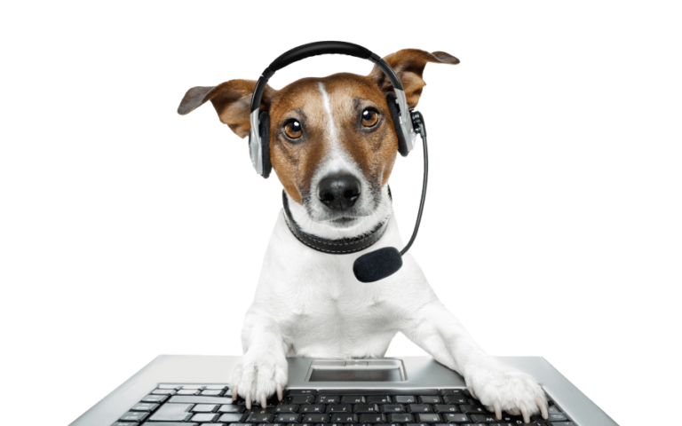 Pet Watch Help Center - Get Support and Expert Assistance